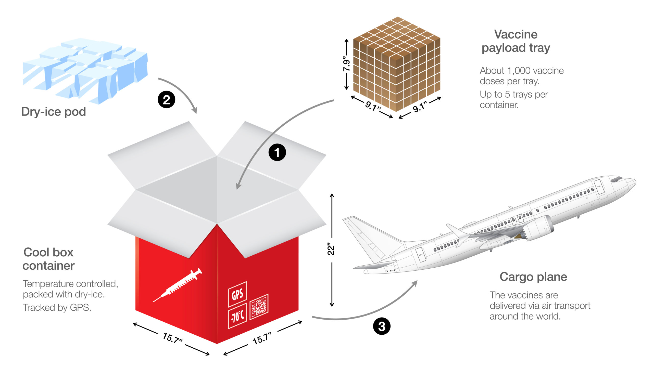 Cold Chain Shipment - VEA Impex